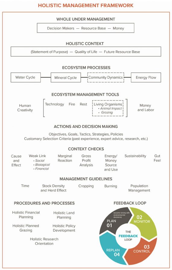 Holistic Management - Holistic Regenerative Farming UK - Regenerative ...